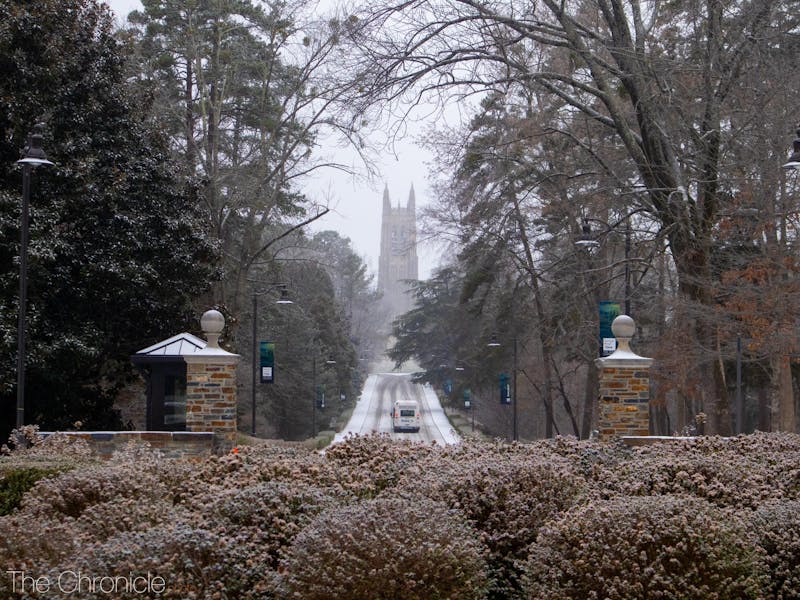 Trudging out of the snow and into this week's Duke and Durham arts ...