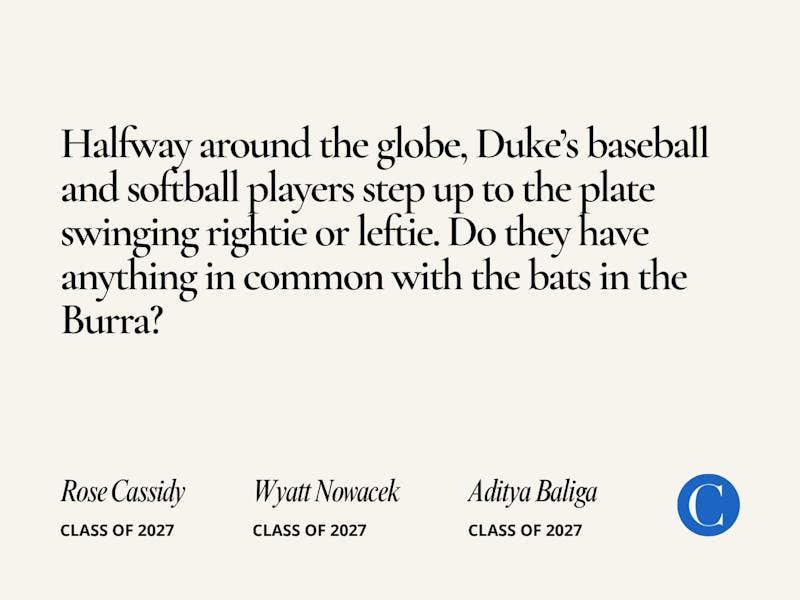 How do Australian Flying Foxes compare to Blue Devil Baseball and ...