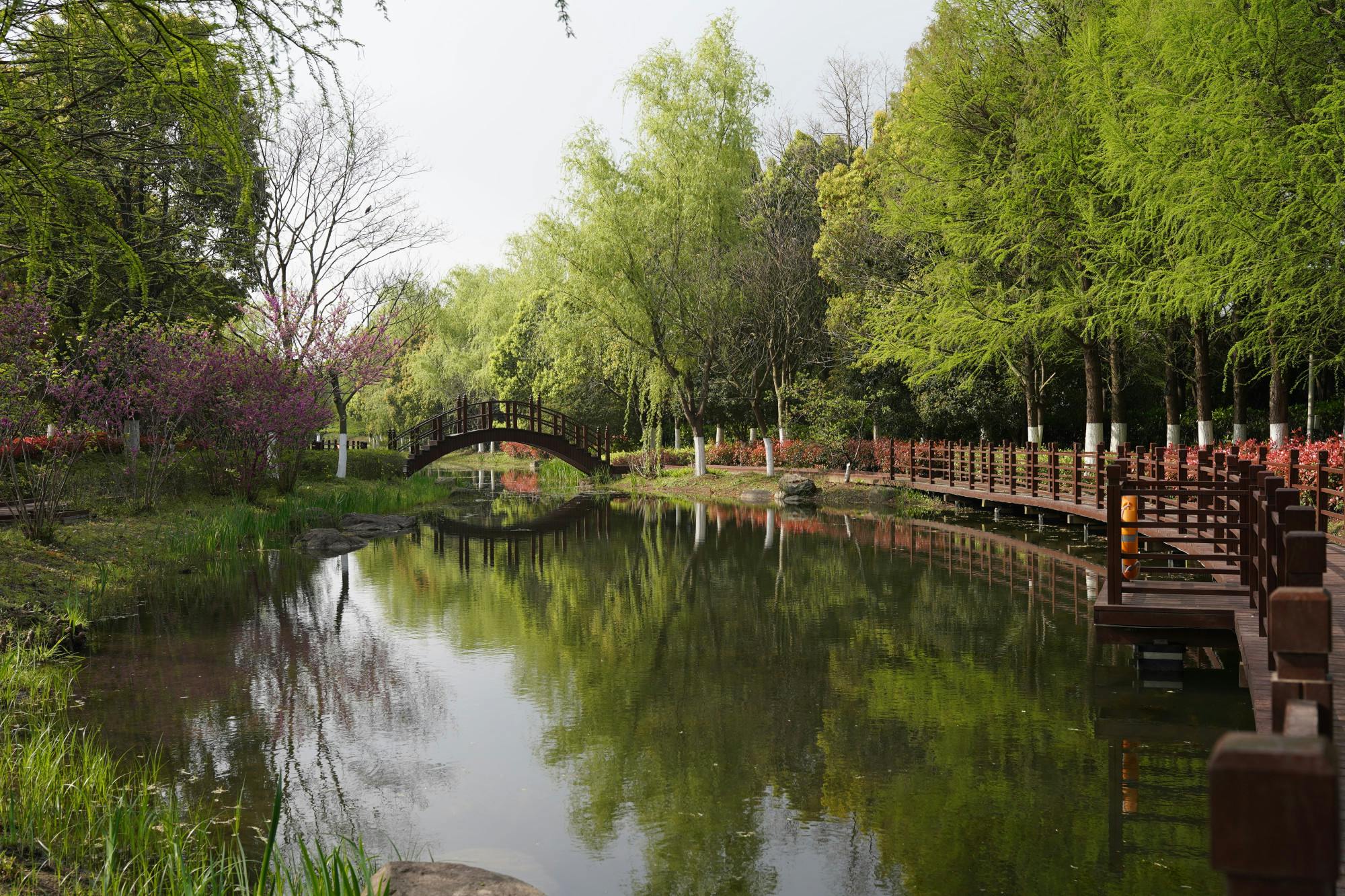 DKU students express dismay at letter urging Duke to close Kunshan ...