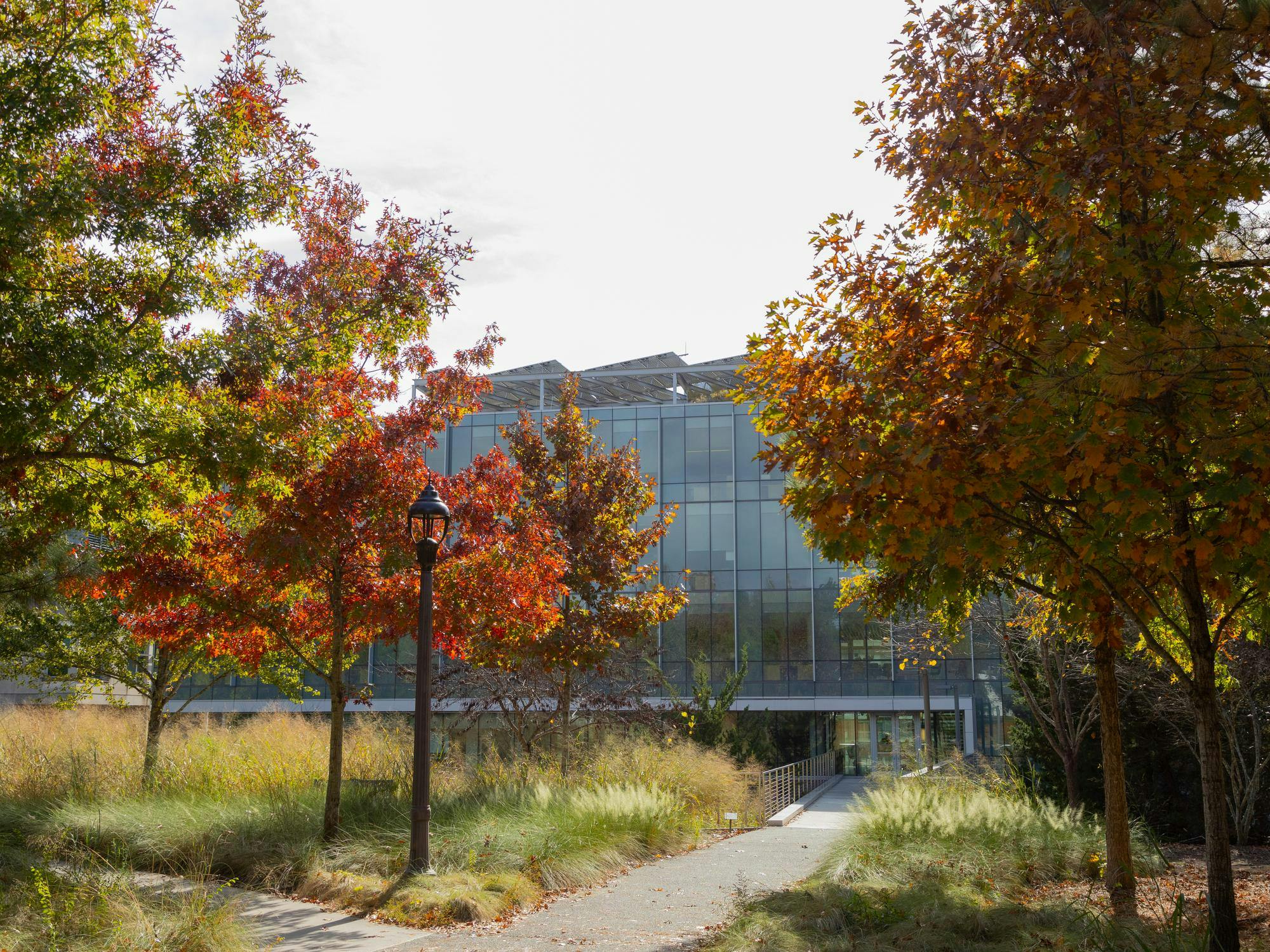 Duke outlines progress toward 2050 carbon emissions plan, targets net ...
