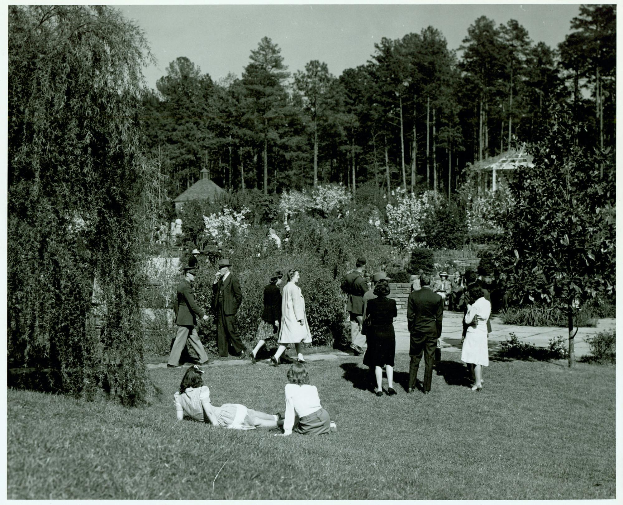 Blossoming from one Centennial to the next: The history of the Duke ...