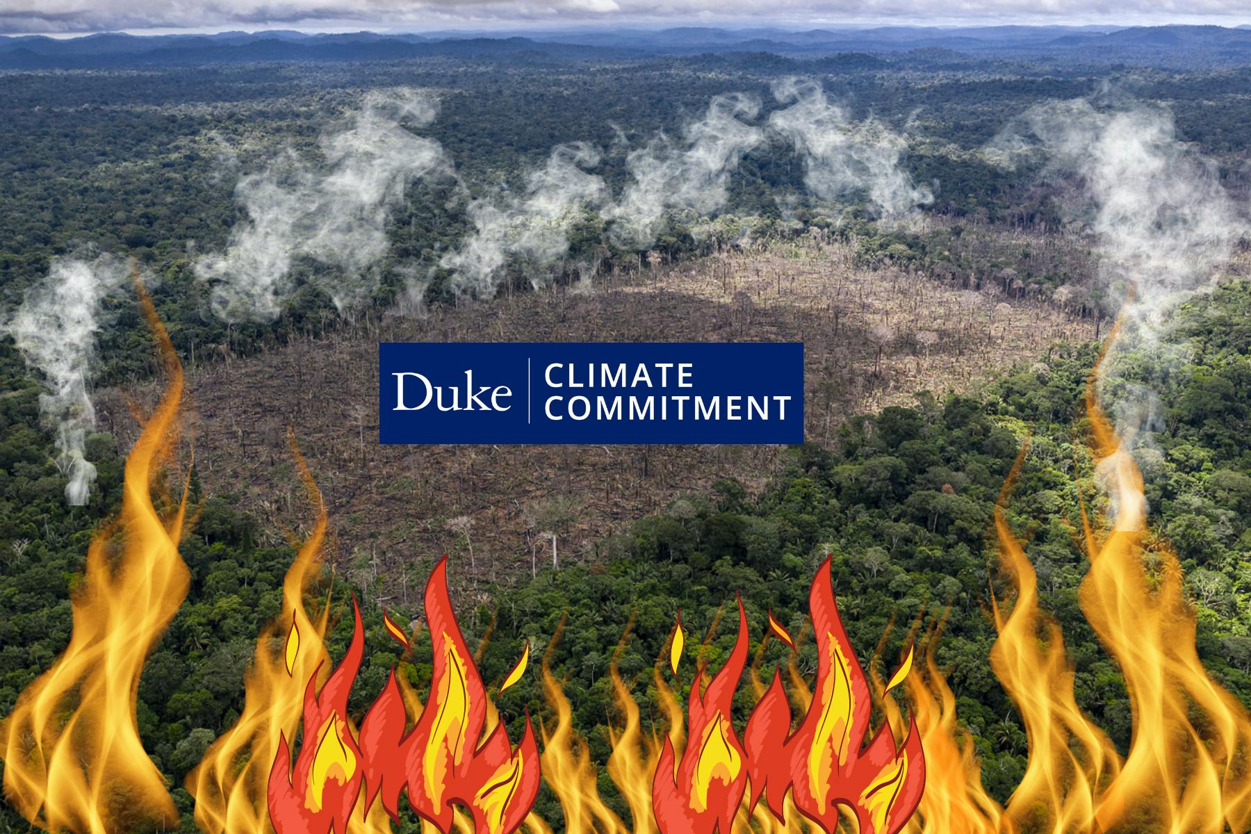 Duke to clear-cut Duke Forest, use paper for Climate Commitment ads ...