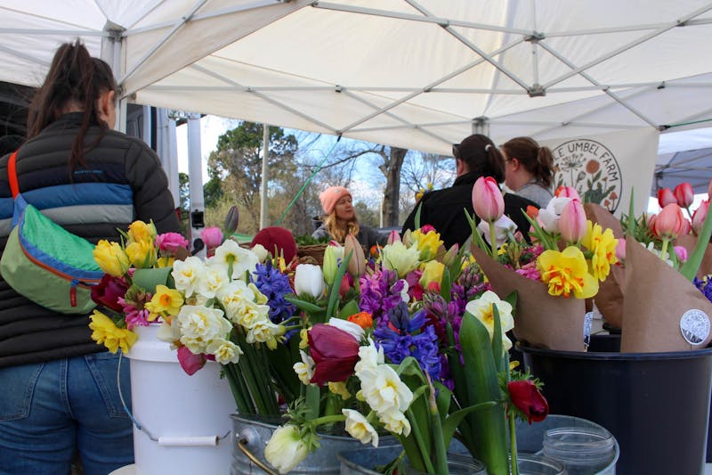 Chapel Hill Farmers' Market enters 15th year of celebrating local ...