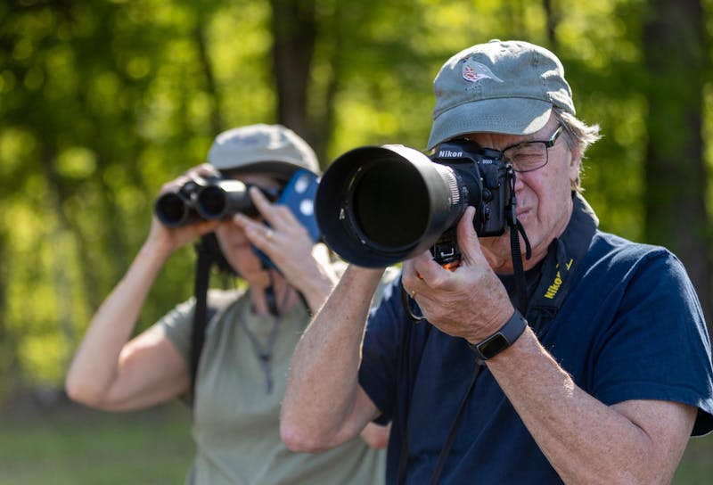 Local birdwatching groups support community and green spaces
