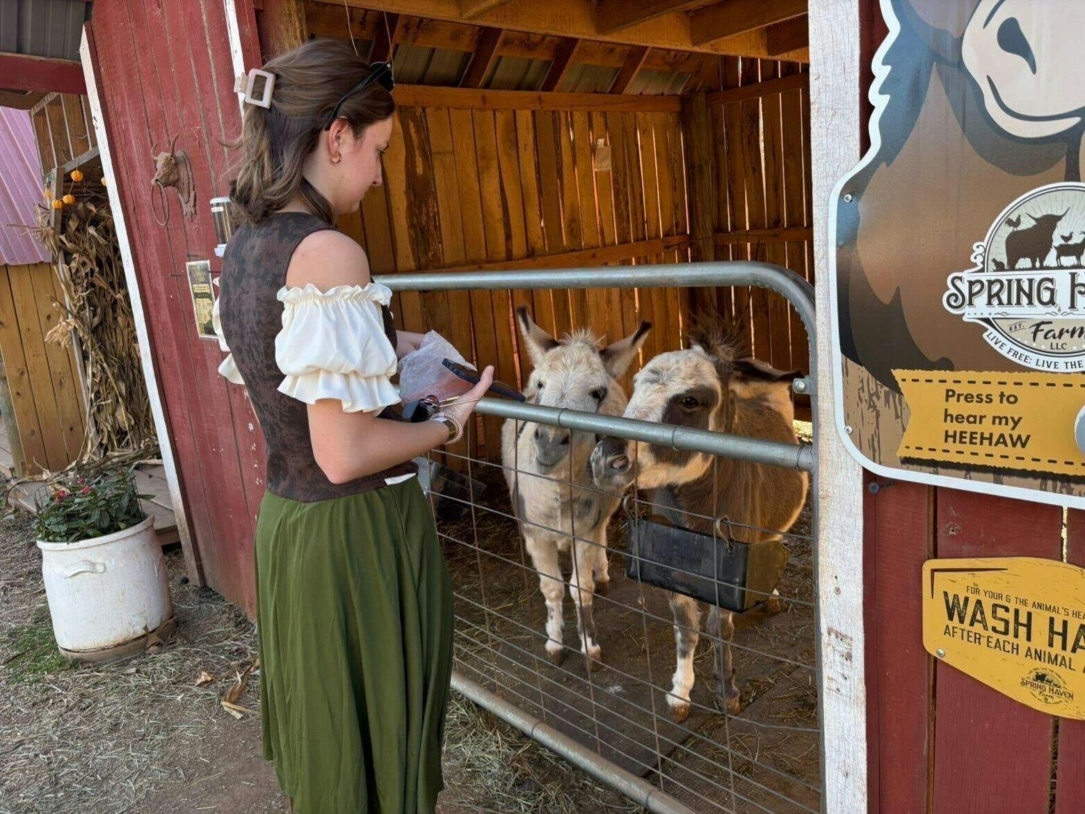Spring Haven Farm hosts its first-ever Renaissance Faire - Daily Tar Heel
