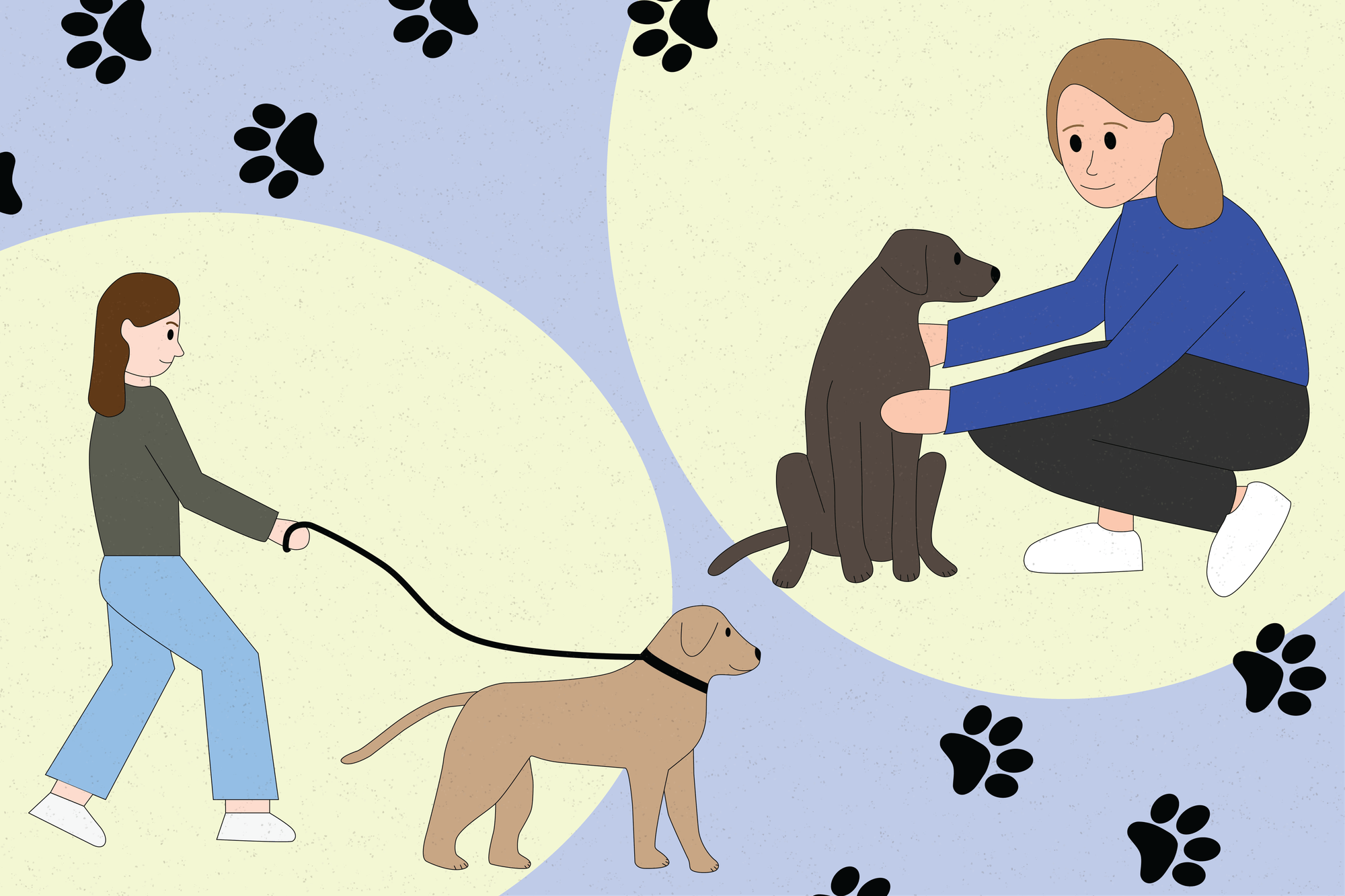 lifestyle-campus-famous-pets