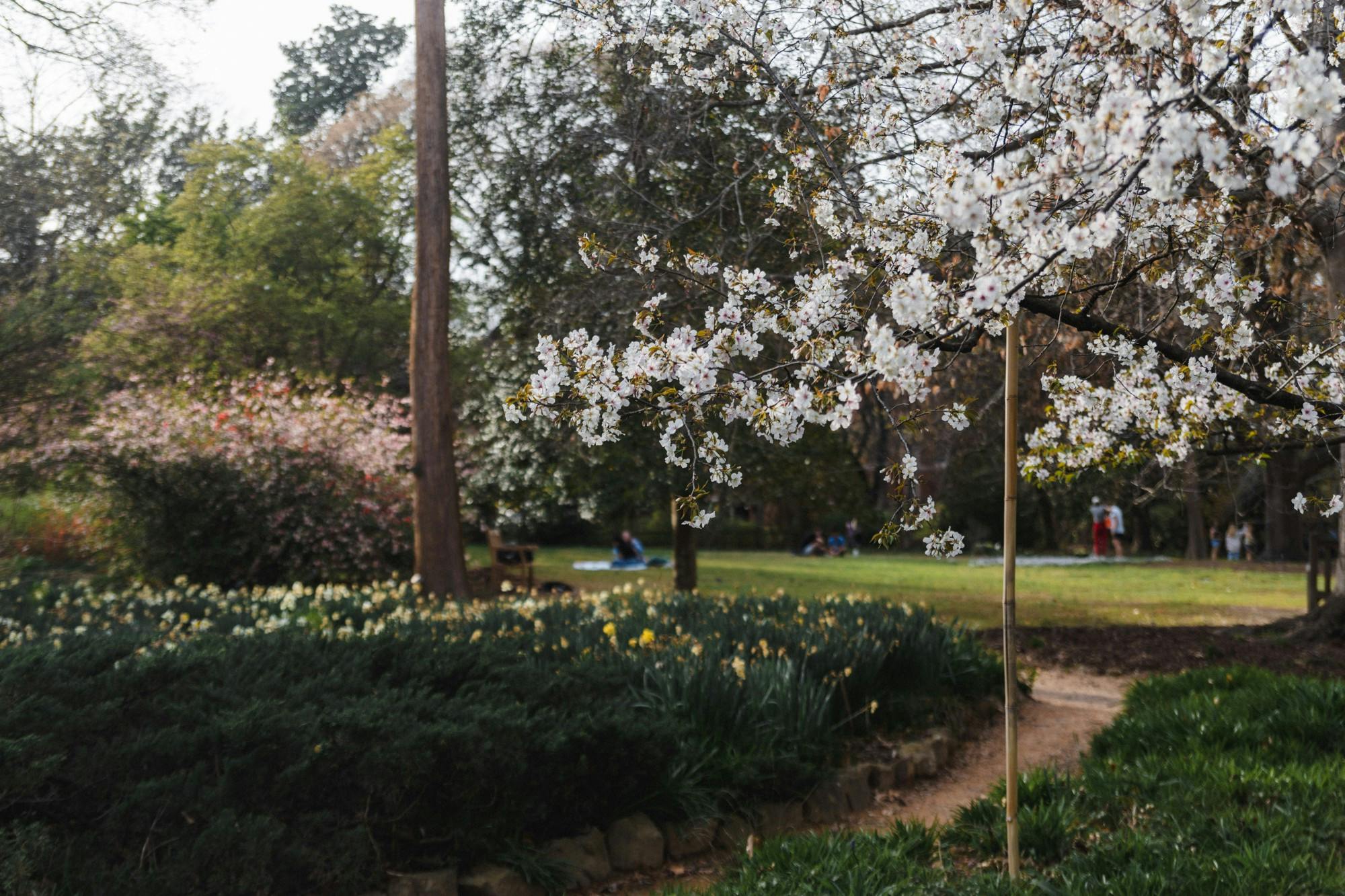 Review: Spring fashion is what you make of it - Daily Tar Heel