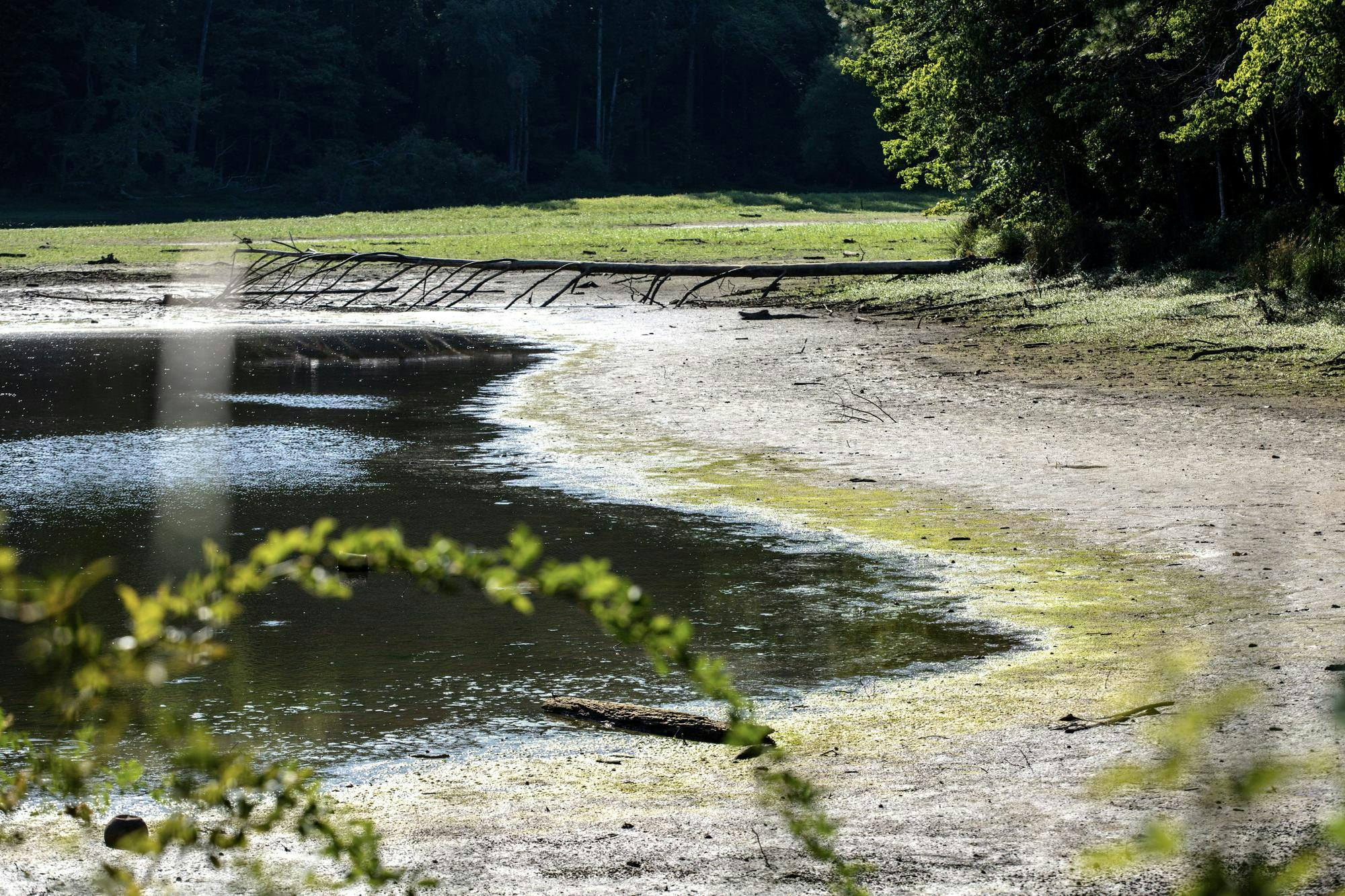 Parts of the Triangle under exceptional drought as conditions worsen ...