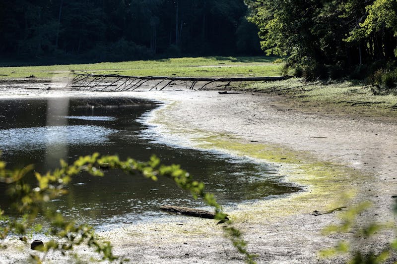 Parts of the Triangle under exceptional drought as conditions worsen ...
