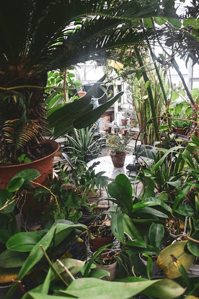 Study spots on and around Eastern Michigan University's campus - The ...