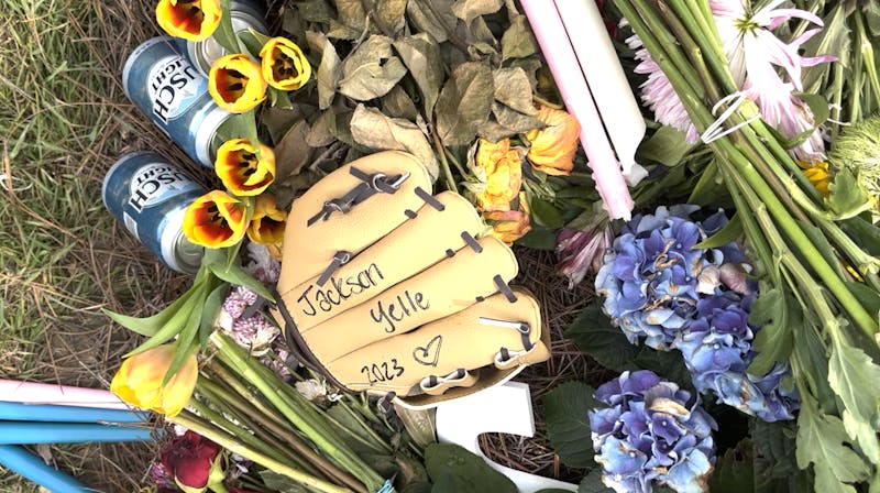 Driver of hit-and-run sentenced to five years probation for killing of ...