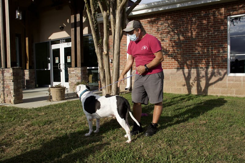 Burlington Animal Services sees increase in fostering - Elon News Network