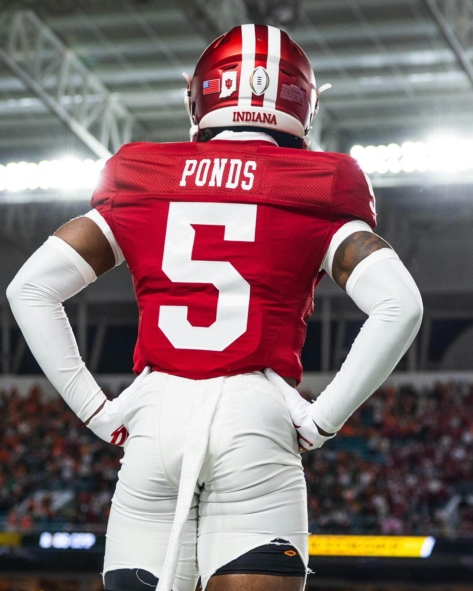 255A1917.JPG - The Hoosier Network