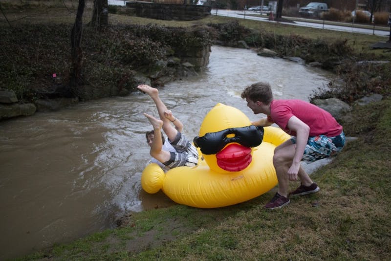 flood-duck-8.JPG - Indiana Daily Student