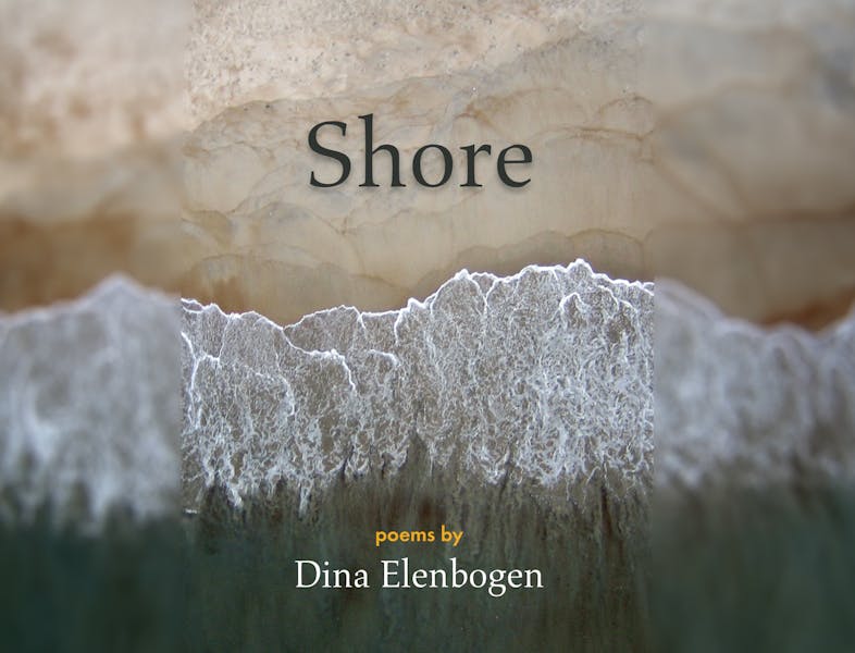 Morgenstern Books to host IU alum, Chicago poet book reading - Indiana ...