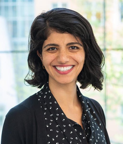 Isik lab uses computer models to understand vision - The Johns Hopkins ...