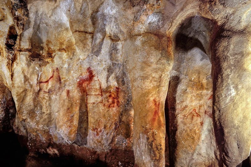 Neanderthals may be smarter than once thought - The Johns Hopkins News ...