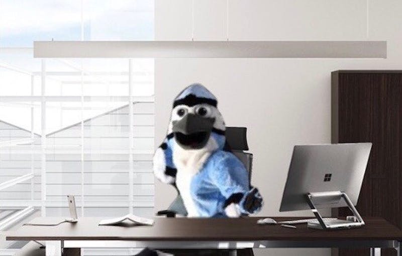 Up close and personal with our newer, hotter mascot - The Johns Hopkins ...