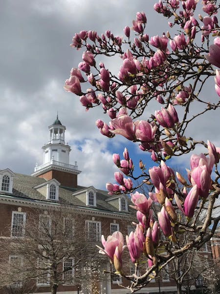 How Taylor Swift, nature and writing helped me find joy in solitude ...