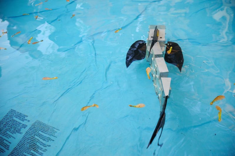 Researchers create robot fish to study marine life - The Johns Hopkins ...