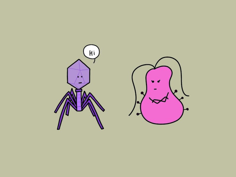 Researchers use new test to understand environmental phages - The Johns ...