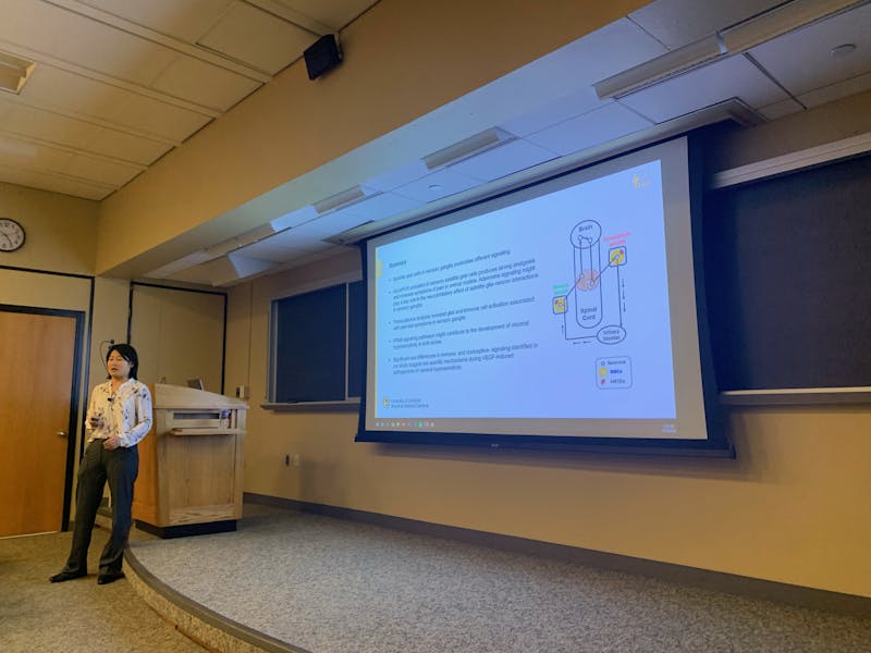 Alison Xie describes analgesic effects of glial-neuron interactions ...