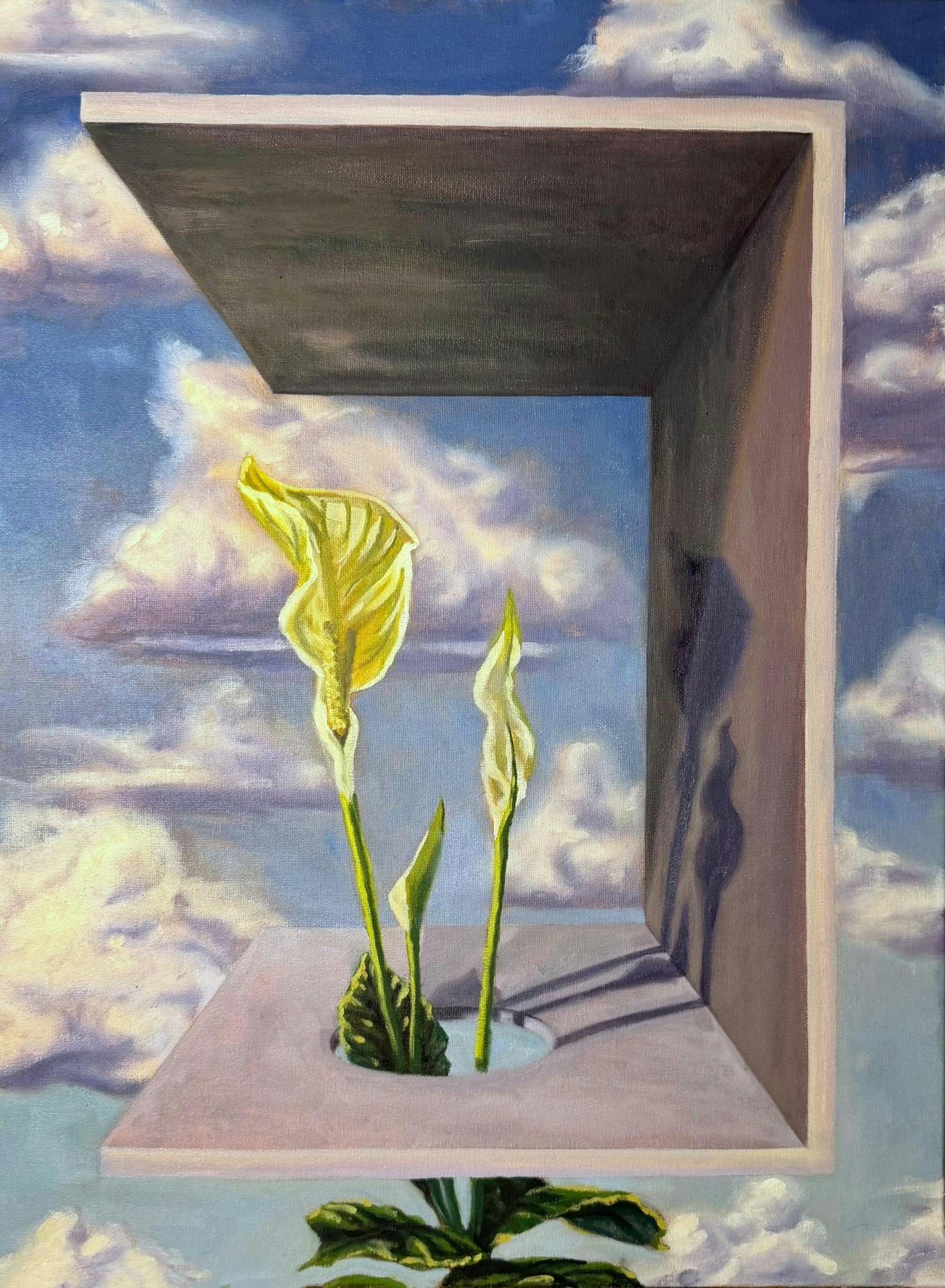 January in the Galleries: Featuring the work of the Rhonda Wernick, S. Christopher Kuith and a ...