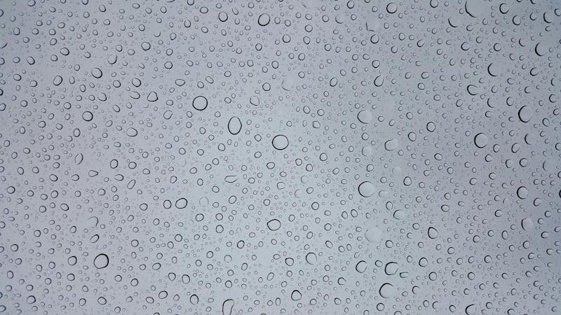 Raindrop racing - The Observer