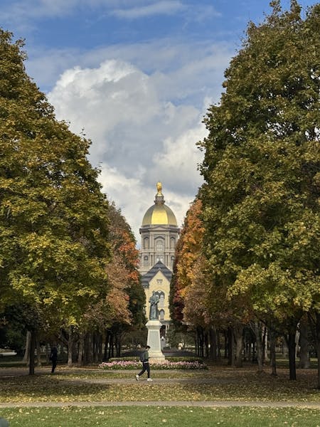 Professors allege potential H-1B visa restrictions could be ‘catastrophic’ - The Observer