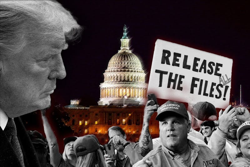 Donald the duck? President Trump has lost his power. - The Observer