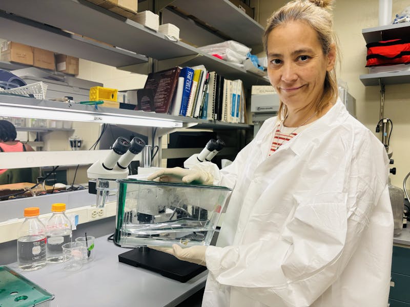 Center for Zebrafish Research studies genetic mutations and ...