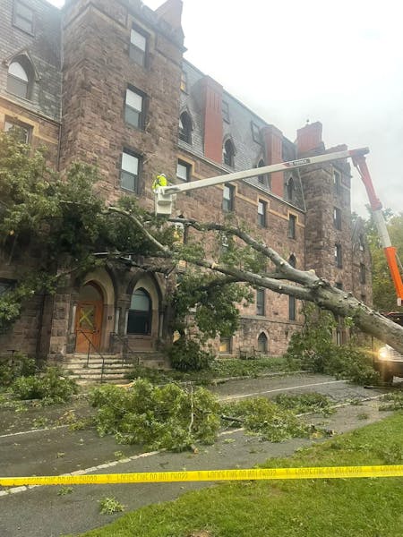 ‘It’s an omen’: students react to Edwards tree crashing through window ...