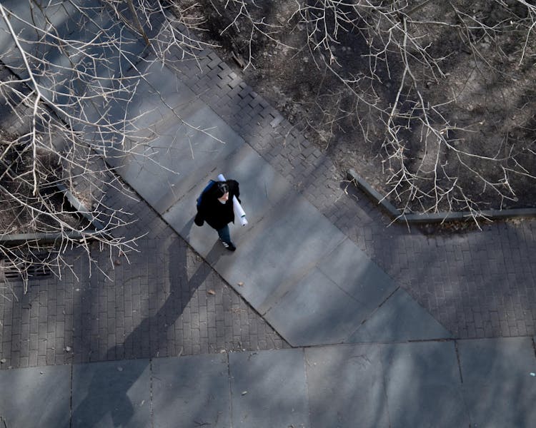 ‘From Above’: an eagle-eyed view of Princeton - The Princetonian