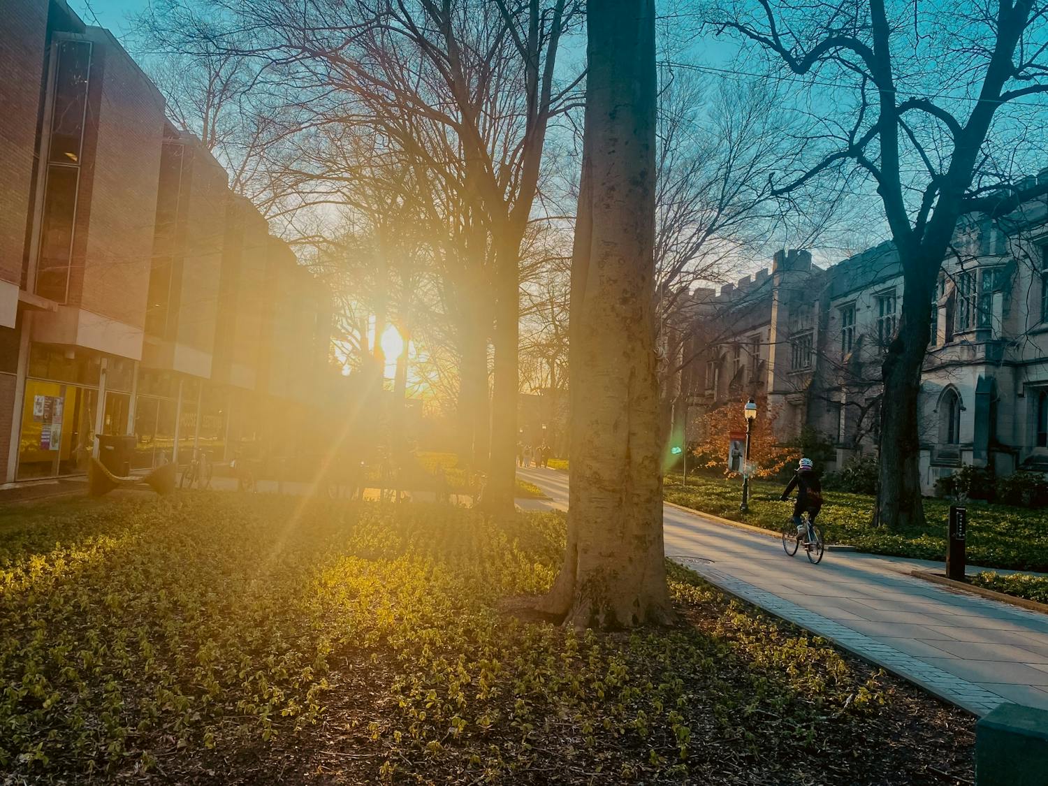 This Week in Photos: Rain or shine - The Princetonian