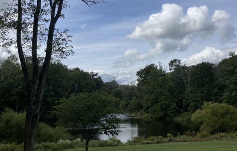 A nature haven in Princeton’s backyard - The Princetonian