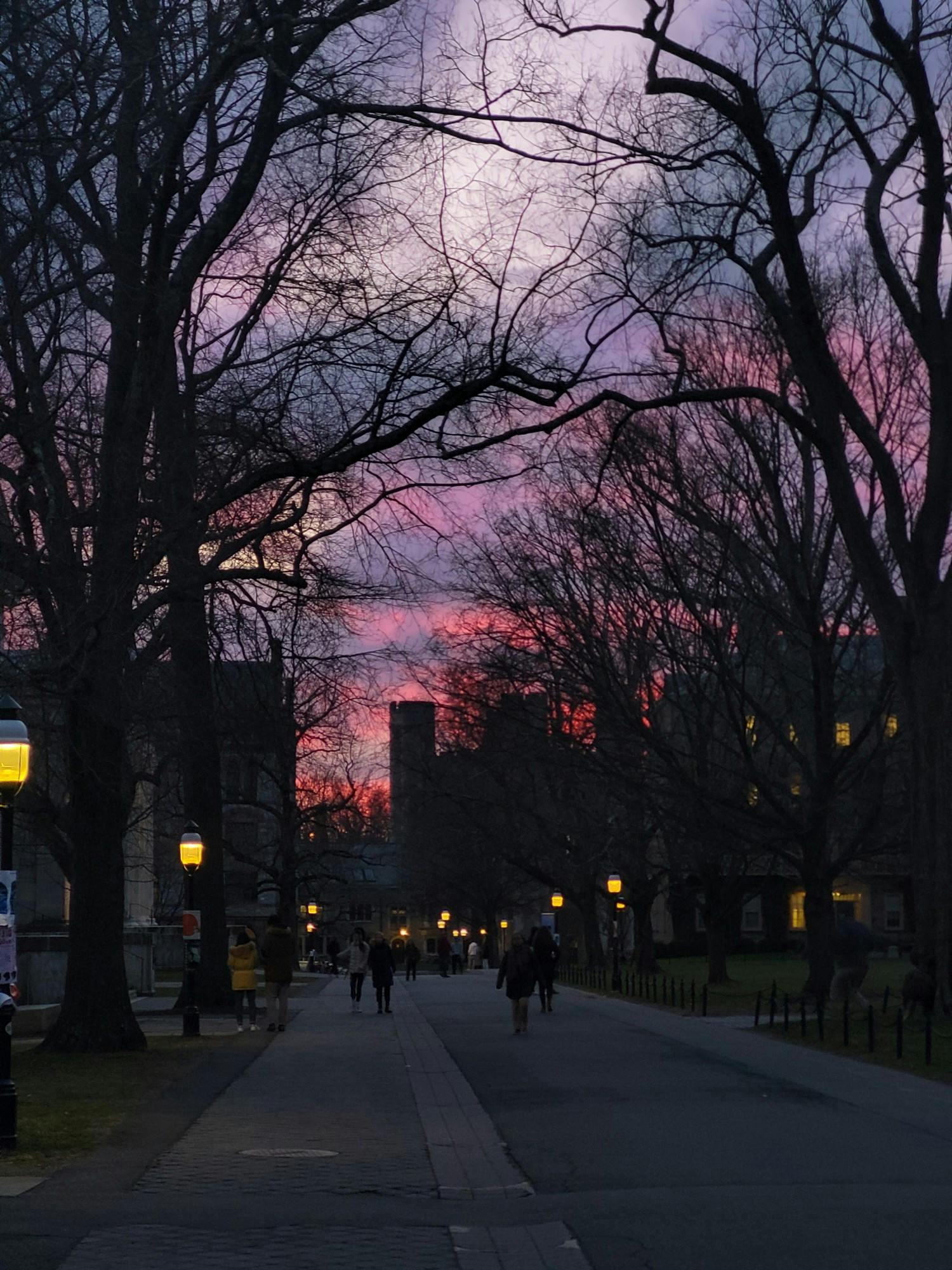 This Week in Photos: Rain or shine - The Princetonian