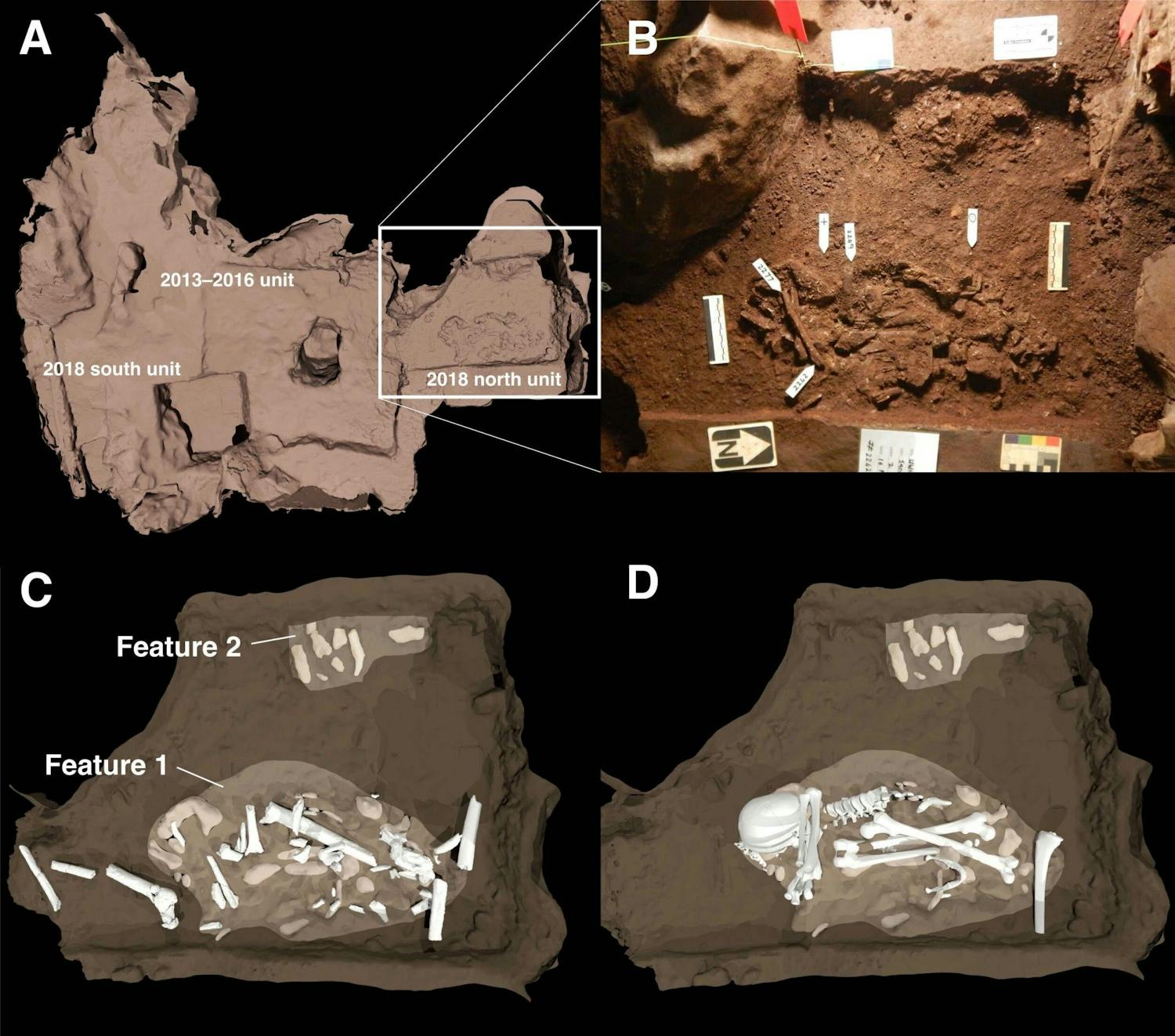 A research team’s finding of pre-human burial sites was publicly lauded ...