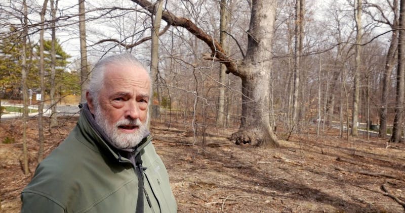 Remembering Professor Horn - The Princetonian