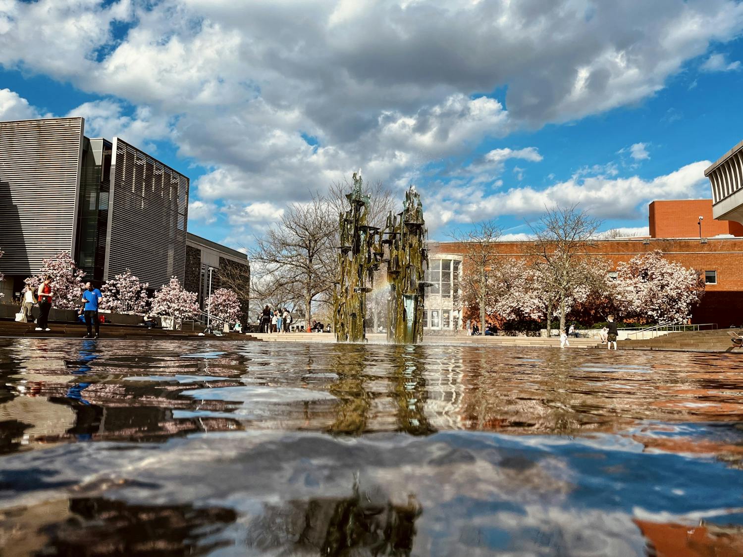 This Week in Photos: Blossoming spring - The Princetonian