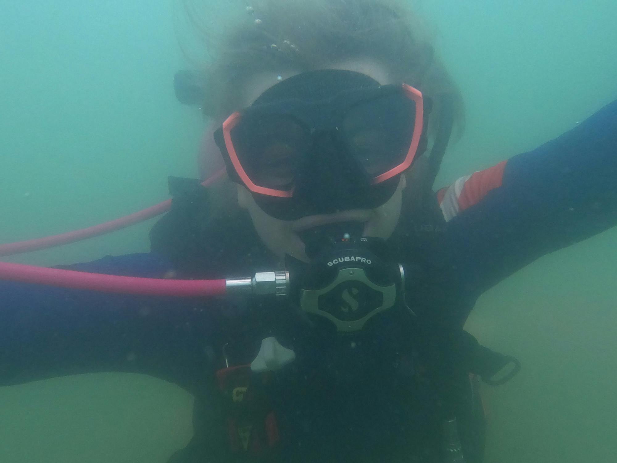 ‘Out of this world’: Scuba LPAP explores the love of the dive - The ...