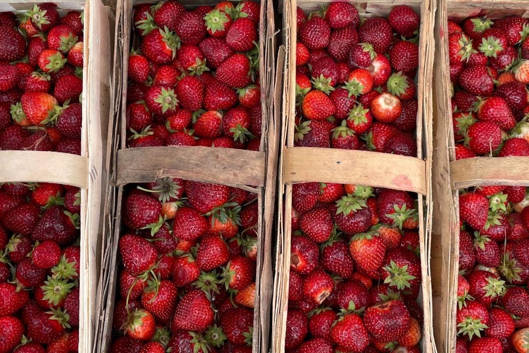 New Jersey strawberry recipes are our jam - The Daily Targum