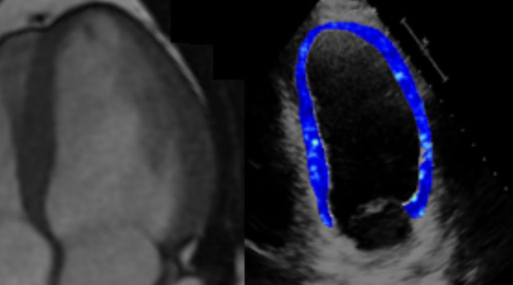 RWJMS researchers awarded grant to develop technology for increasing ...