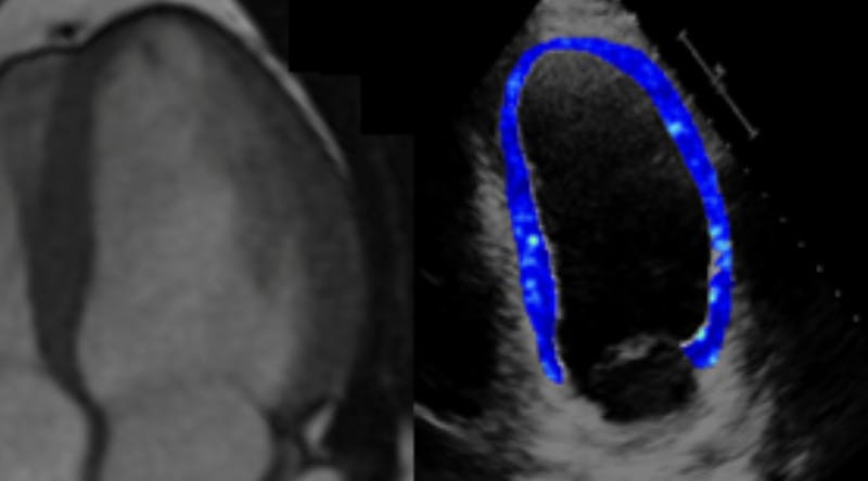 RWJMS researchers awarded grant to develop technology for increasing ...