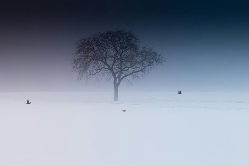 KOZLOWSKI: Avoid winter isolation to better deal with stress - The ...