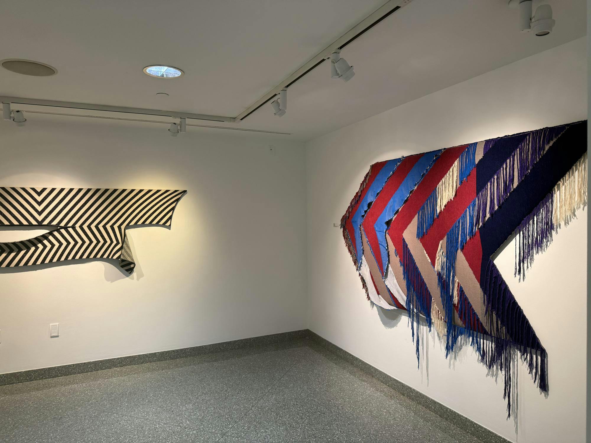 Liz Collins discusses textile production, self-expression in her artist ...