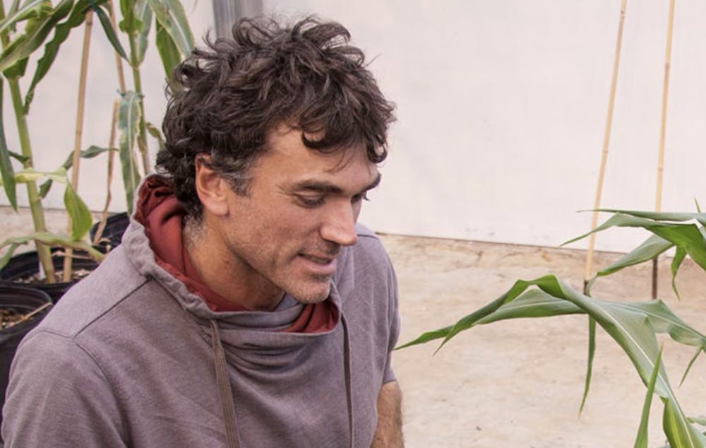 U. professor receives $1 million grant for innovations in corn growth ...