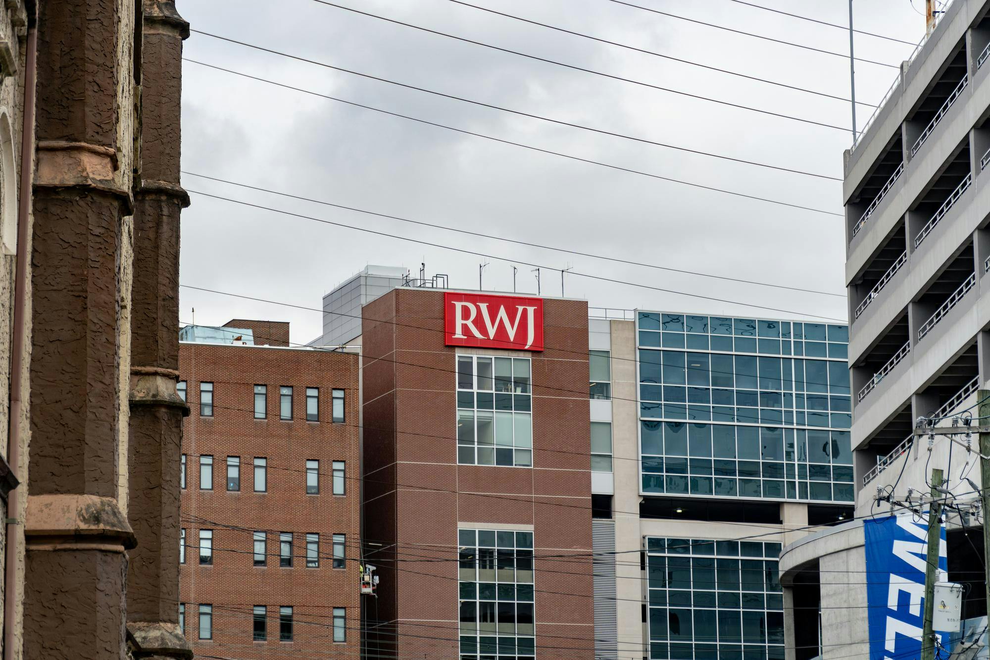 Riding waves: How 'Symphony' dolphin meme revitalized Zara Larsson's ...