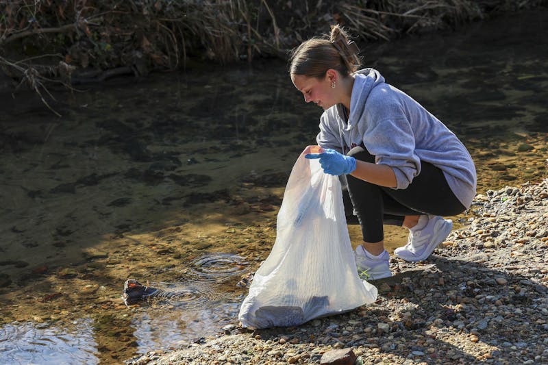 Cocky’s Cleanup Crew at the University of South Carolina aims to reduce ...