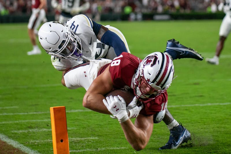 PHOTOS: Gamecocks claim victory over Akron during Family Weekend - The ...