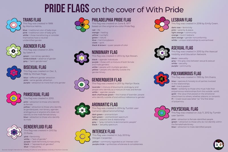 Pride Flags_infographic.png - The Daily Gamecock at University of South ...